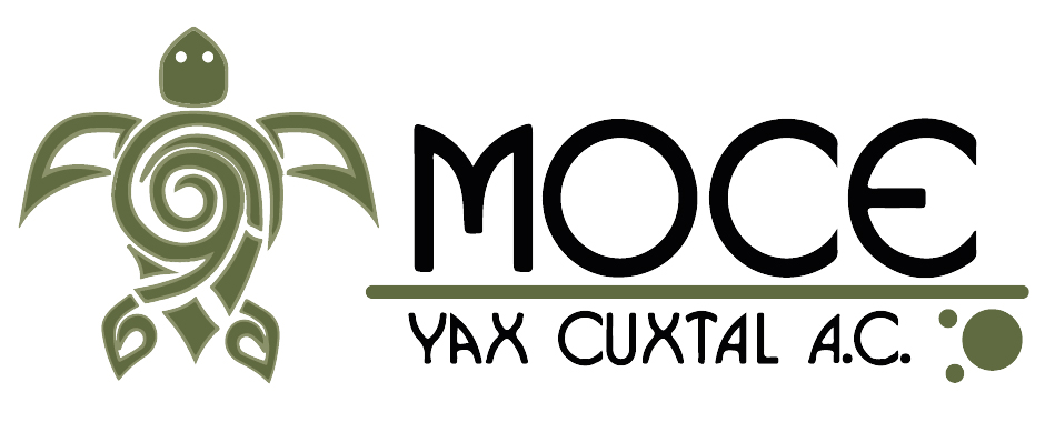 En – Árboles La Semilla